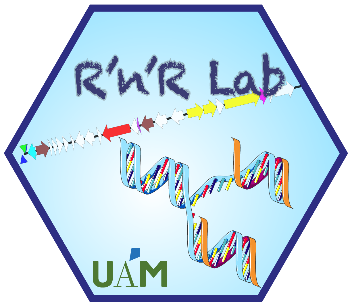 R n R Lab R R Lab UAM